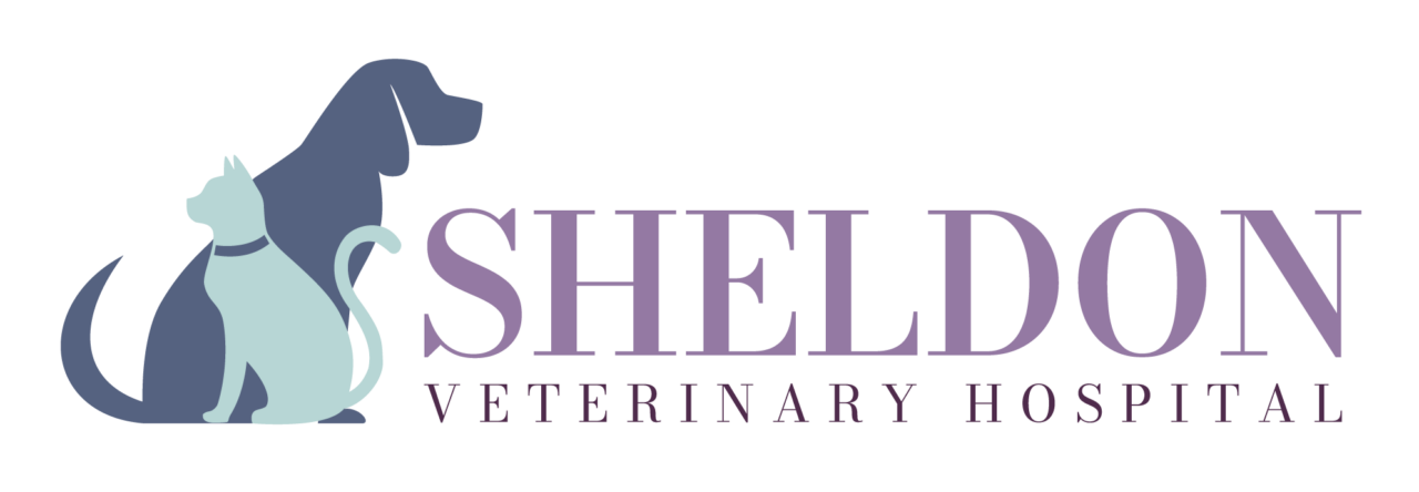 Best Vet Hospital In Plymouth, MI | Sheldon Vet Hospital
